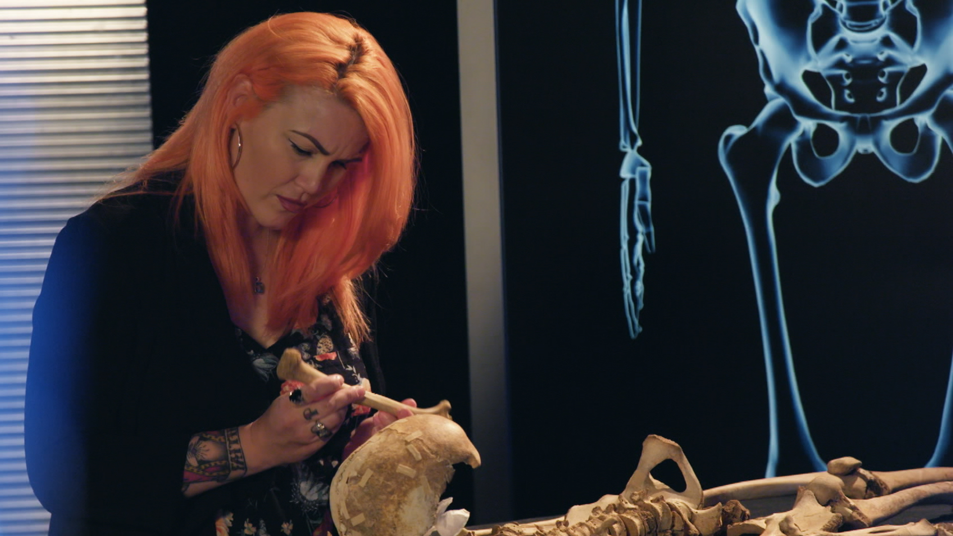 The Bone Detectives - E6 - Amesbury | Knowledge.ca